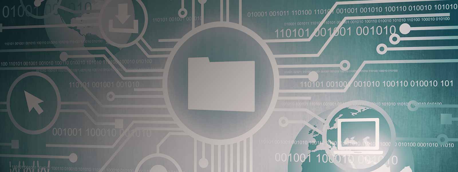 OFAC Alert and Case Management Solutions | Visual OFAC