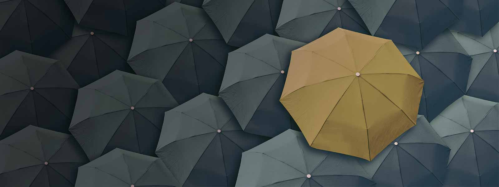 Specially Designated Nationals (SDN) Screening | Visual OFAC